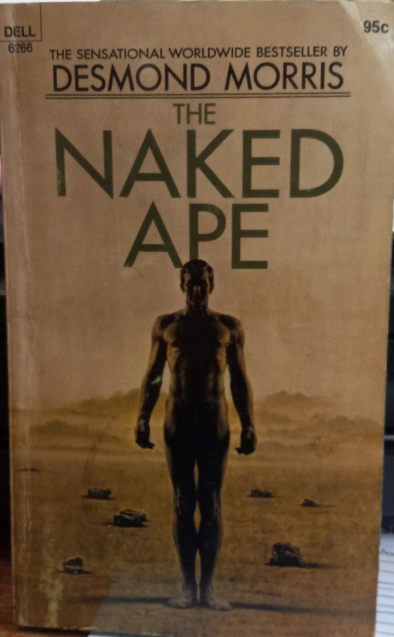 The Naked Ape